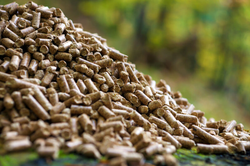 Biomass and Biofuels: Renewable Energy from Organic Materials - Nooter ...